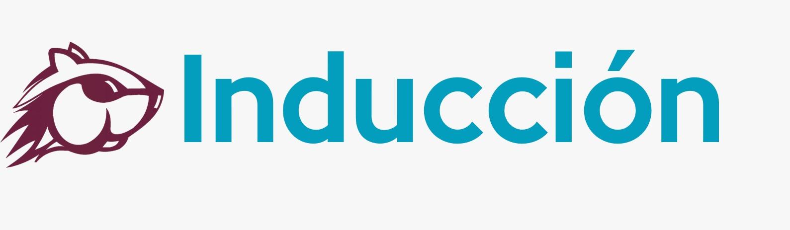 Curso de inducción – Instituto Tecnológico de San Luis Potosí